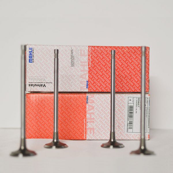 Válvulas de motor – Allende Repuestos